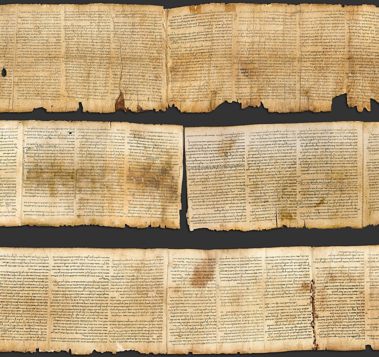 Field Notes: Ryan Lang - Venn Foundation